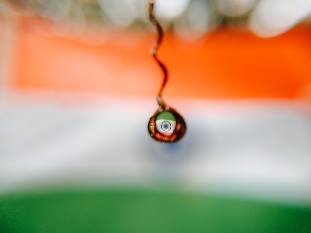 ESG Disclosures for Indian Companies - Global Advisory Experts